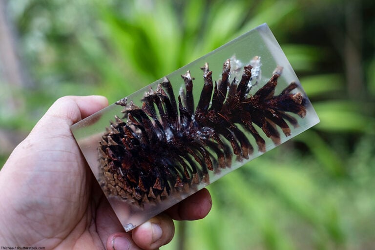 How long does Epoxy take to Cure – Complete Guide for Epoxy Dry Time