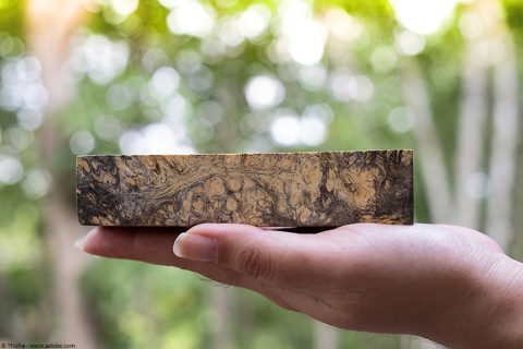 How to Stabilize Wood with Resin? – Guide for Stabilized Wood
