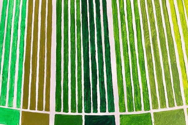 Color Combinations - Unique and Exciting Color Schemes