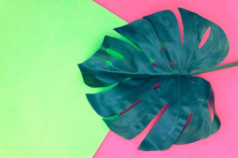 Color Combinations - Unique and Exciting Color Schemes