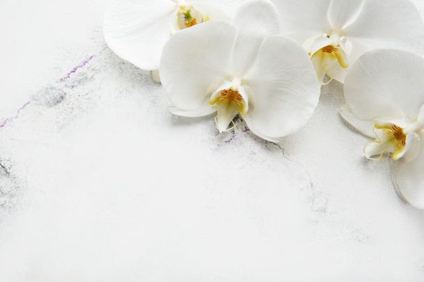 Shades of White - How to Make and Use Different Shades of White