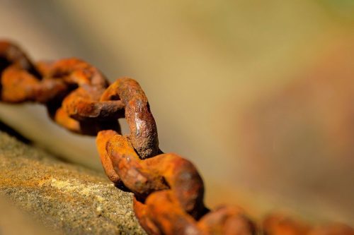 Burnt Orange Color - An In-Depth Look at Burnt Orange Shades