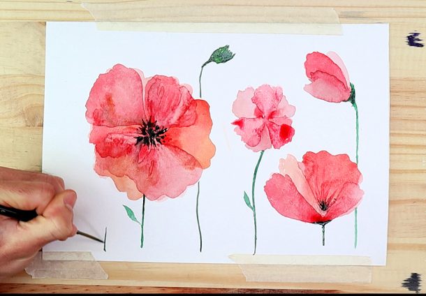 Watercolor Poppies - How to Paint Poppies in Watercolor Paint