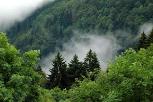 Color Emotions - Colors Associated with Emotions and Moods