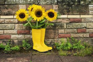 Color Emotions - Colors Associated with Emotions and Moods