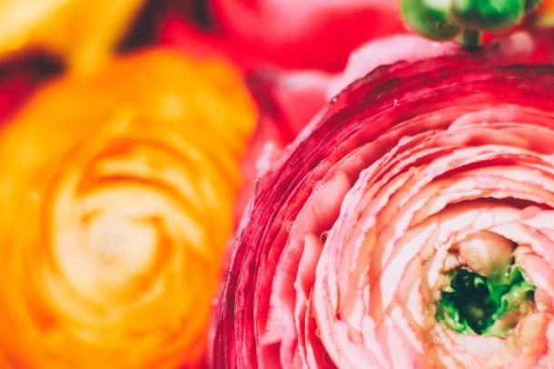 Triadic Colors - What are Triadic Colors and How to Use Them?