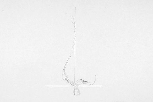 How to Draw a Nose - A Realistic Nose Drawing Tutorial for Beginners