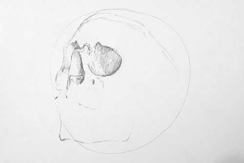 How to Draw a Skull - A Step-by-Step Human Skull Drawing Tutorial