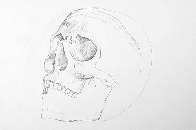 How to Draw a Skull - A Step-by-Step Human Skull Drawing Tutorial