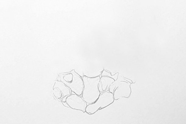 How to Draw Skeleton Hands - Anatomical Hand Bones Sketch