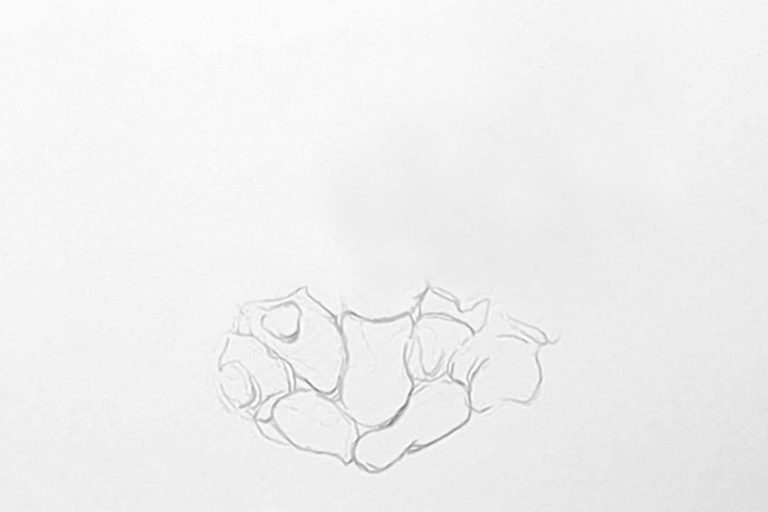 How to Draw Skeleton Hands - Anatomical Hand Bones Sketch