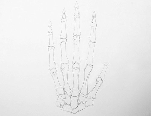 How to Draw Skeleton Hands - Anatomical Hand Bones Sketch