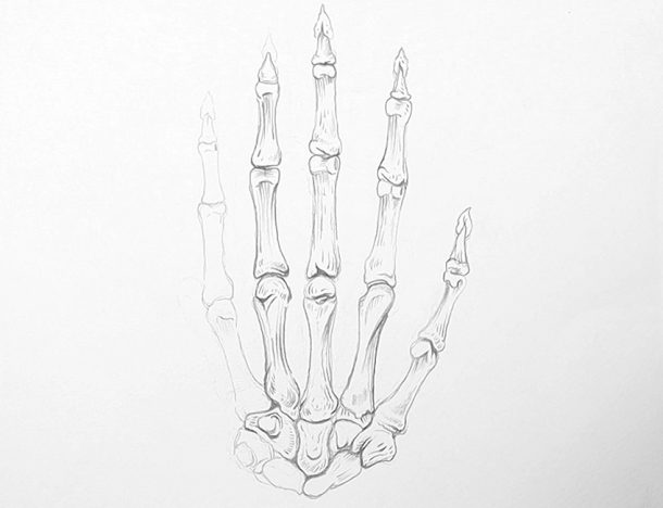 How to Draw Skeleton Hands - Anatomical Hand Bones Sketch