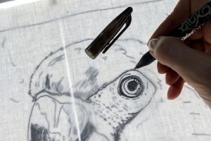 Tracing Pictures - How to Trace a Picture With Different Methods