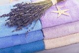 Lavendel Farbe - EntdeckeLavendeltöne für deiner Kunst