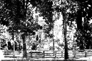 Notan – What is a Notan and How to Create Notan Artworks?