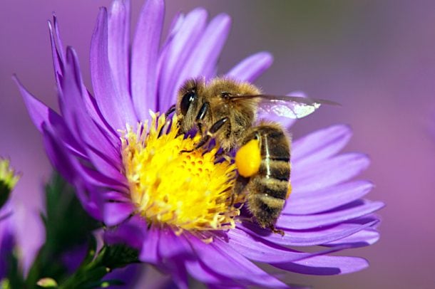 Aesthetic Color Palettes – Most Beautiful Color Combinations