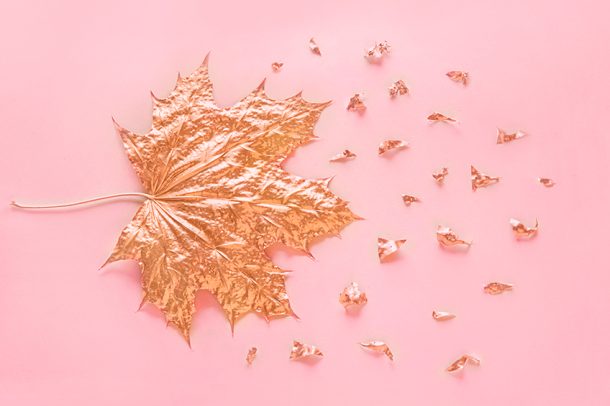 Rose Gold Color Palette – What Colors go with Rose Gold?