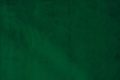 Hunter Green Color – What Color is Hunter Green?
