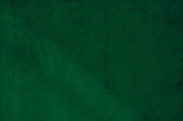 Hunter Green Color – What Color is Hunter Green?