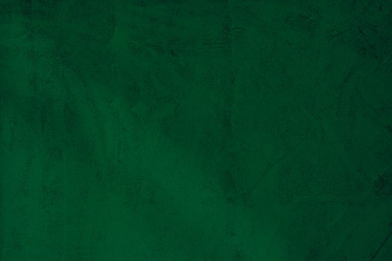 Hunter Green Color – What Color is Hunter Green?