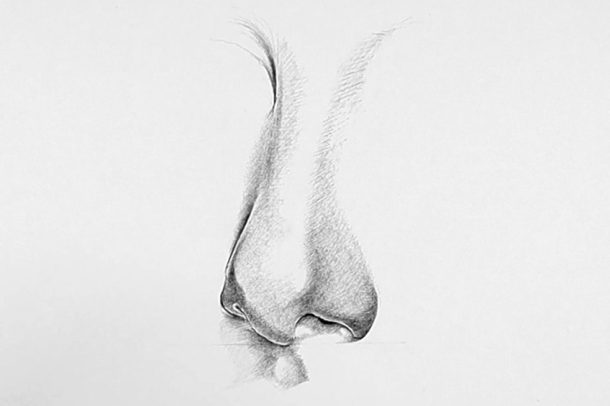 Nase zeichnen - Lerne eine einfache realistische Nase zu zeichnen