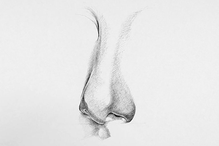 Nase zeichnen - Lerne eine einfache realistische Nase zu zeichnen