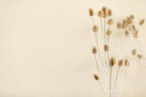 Salbeigrün - Alle Infos und gelungene Farbkombinationen