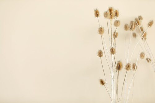 Beige Farbe - Wissenswerte Fakten und Farbkombinationen