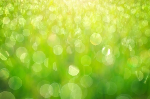 Chartreuse Color – A Deep Dive Into Chartreuse Color Palette