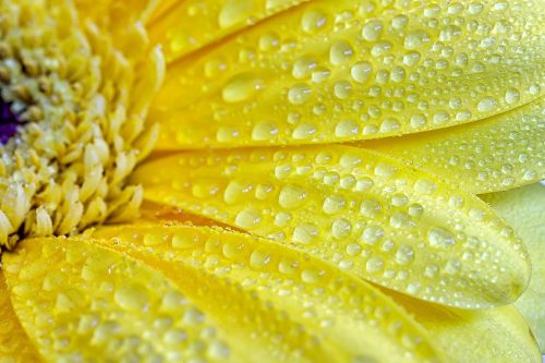 Zodiac Colors - What Are the Characteristic Astrology Colors?