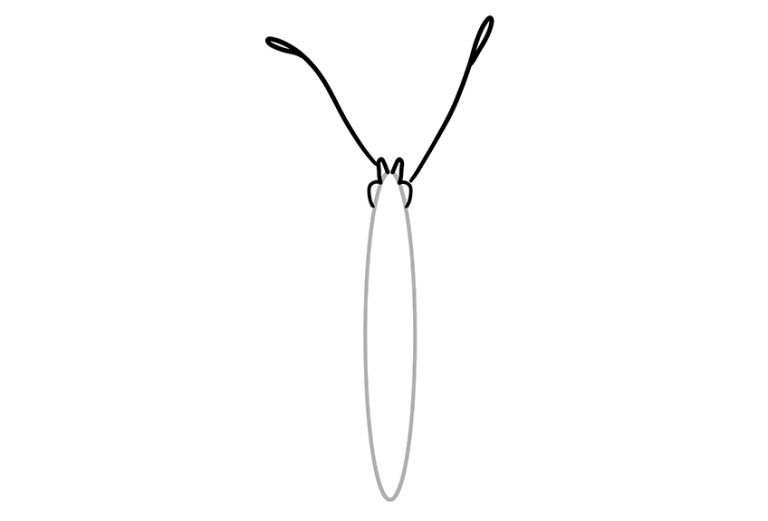 Butterfly Drawing - Draw an Easy Monarch Butterfly Today!