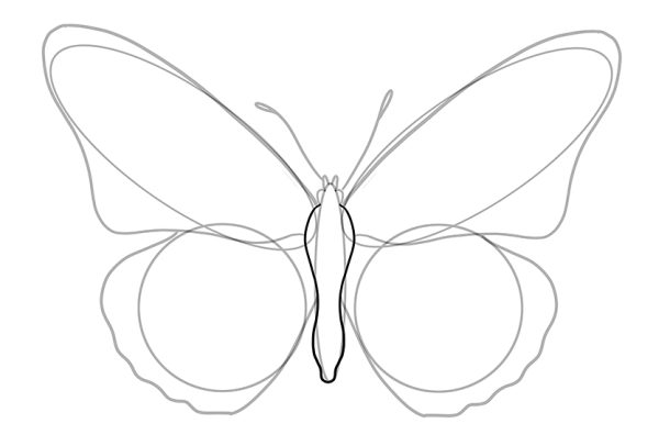 Butterfly Drawing - Draw an Easy Monarch Butterfly Today!