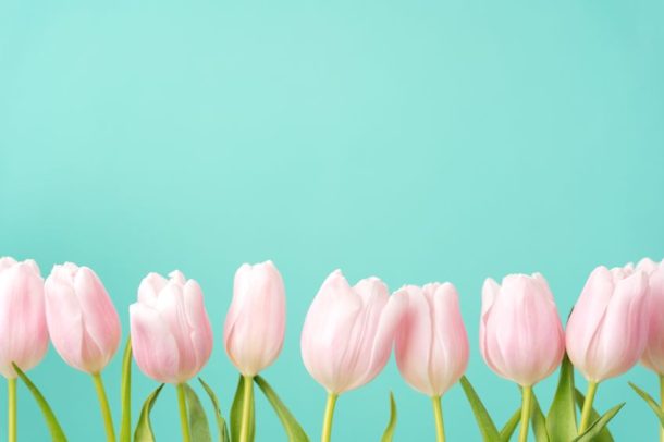 What Colors Go With Pink? - Colors That Complement Pink