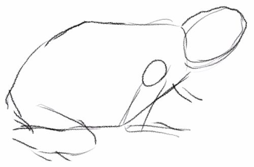 Frosch zeichnen - Erstelle eine einfache Frosch-Zeichnung