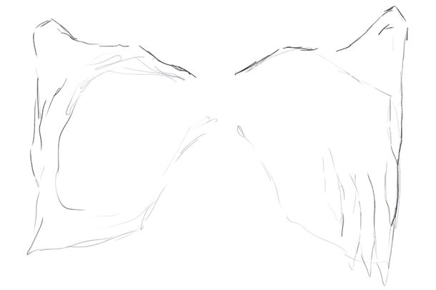 Como dibujar alas - Crea un majestuoso dibujo de alas