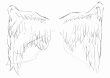 Wings Drawing - Create a Graceful and Angelic Wings Sketch
