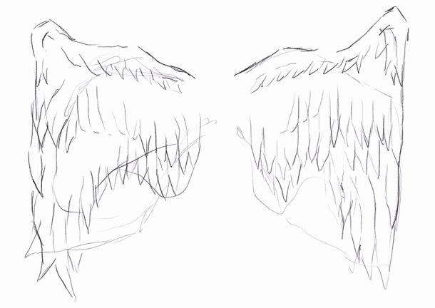 Como dibujar alas - Crea un majestuoso dibujo de alas
