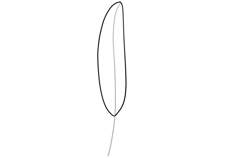Feather Drawing - An Easy Feather Drawing Tutorial