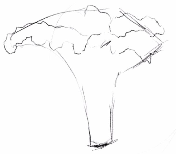 Mushroom Drawing - How to Draw a Mushroom Step-by-Step