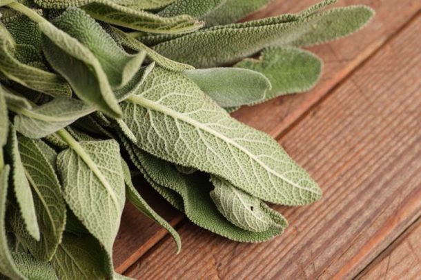 Sage Green Color - How to Create and Use a Sage Color Palette