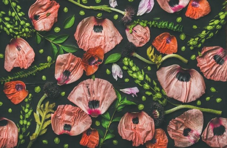 What Colors Go With Pink? - Colors That Complement Pink