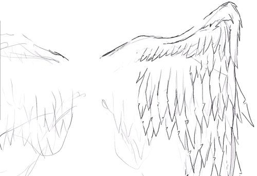 Wings Drawing - Create a Graceful and Angelic Wings Sketch