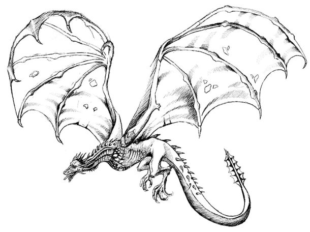 Drachen zeichnen – Schritt-für-Schritt Anleitung