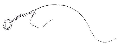 Dragon Drawing – Step-by-Step Dragon Illustration Tutorial