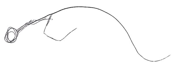 Dragon Drawing – Step-by-Step Dragon Illustration Tutorial