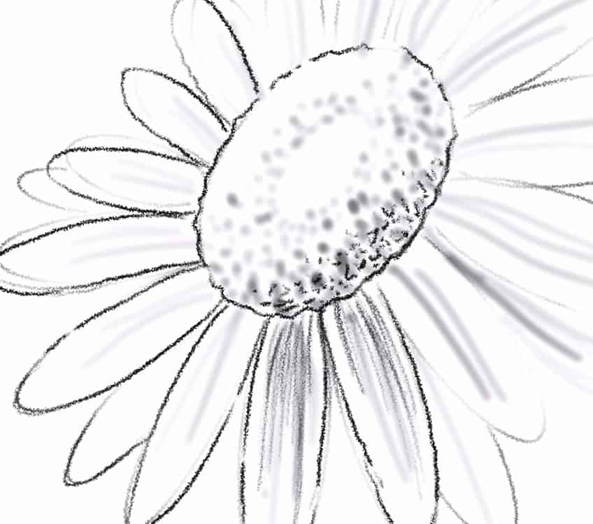 Aggregate More Than 75 Simple Flower Drawing Images Best Xkldase edu vn Aggregate More Than 75 Simple Flower Drawing Images Best Xkldase edu vn
