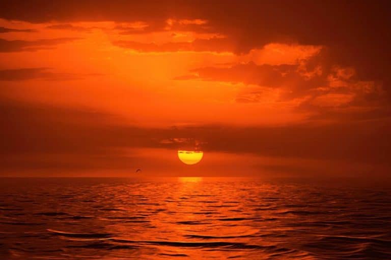 Vermilion Color - Exploring Vermilion Red Color Shades