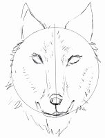 Wolf Head Drawing - Draw a Cunning Wolf Face Sketch