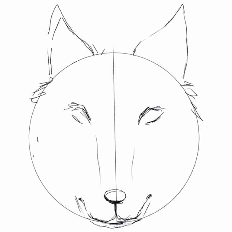 Wolf Head Drawing - Draw a Cunning Wolf Face Sketch